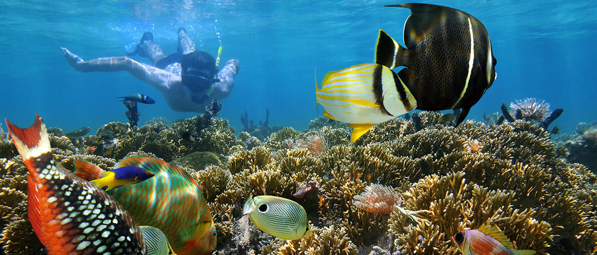 Mactan Island Hopping - Joiner Tours Philippines